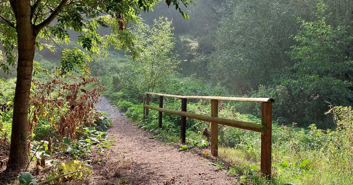 Frenze Beck Green Infrastructure - Greater Norwich Growth Board